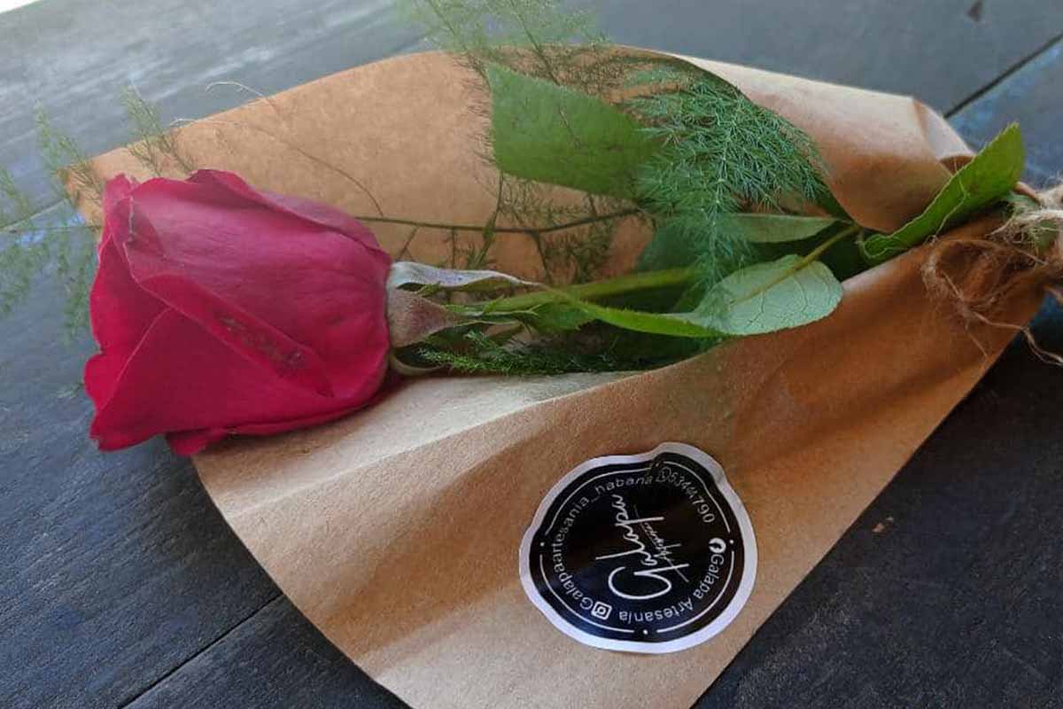 Al Campestre - Uniflor decorada - Envío a domicilio